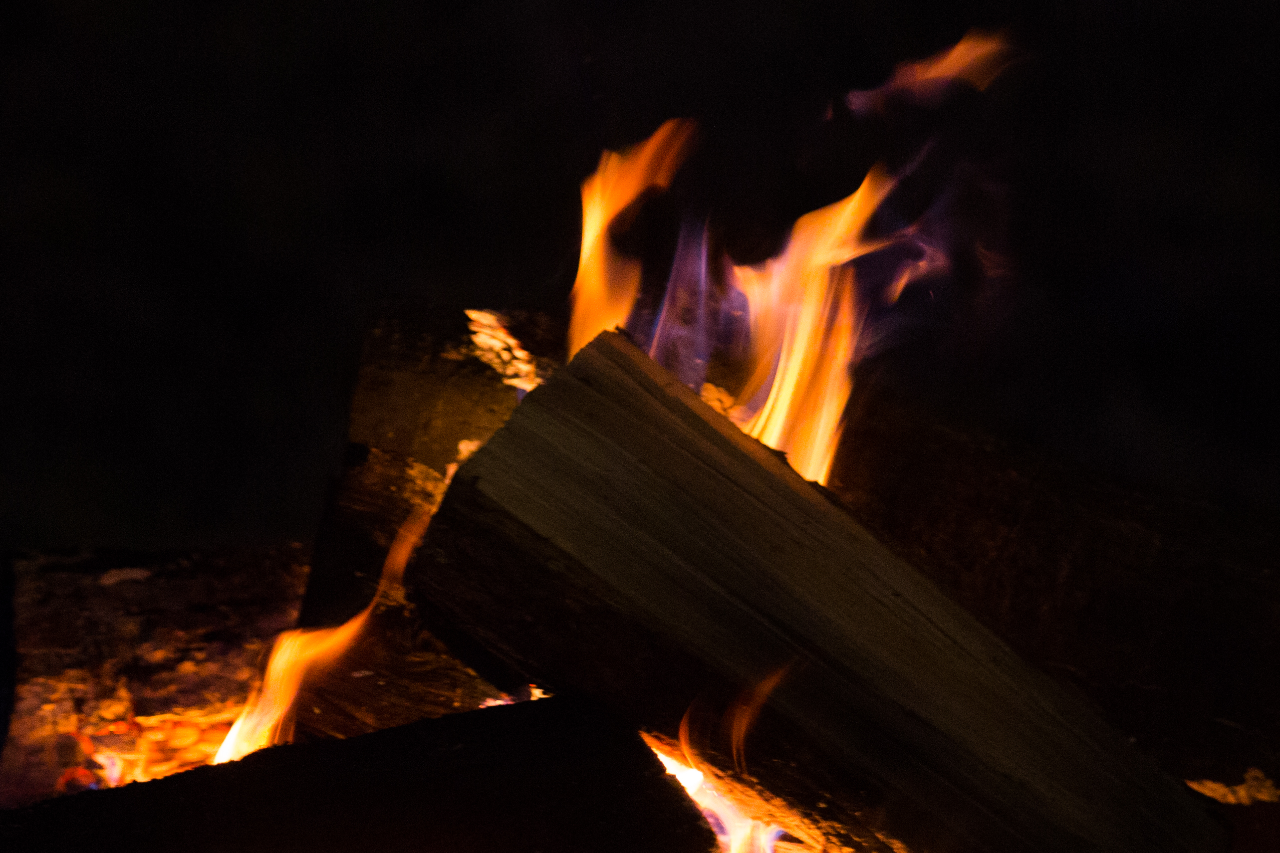 Fiddling while the world burns | Show Me Progress