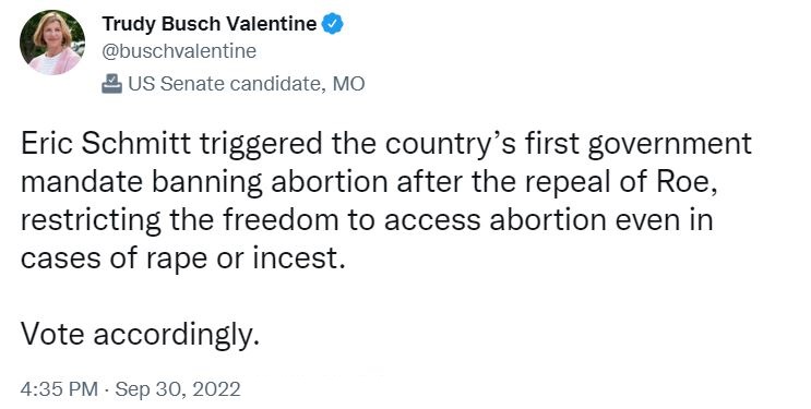 Trudy Busch Valentine (D): this is what it is | Show Me Progress